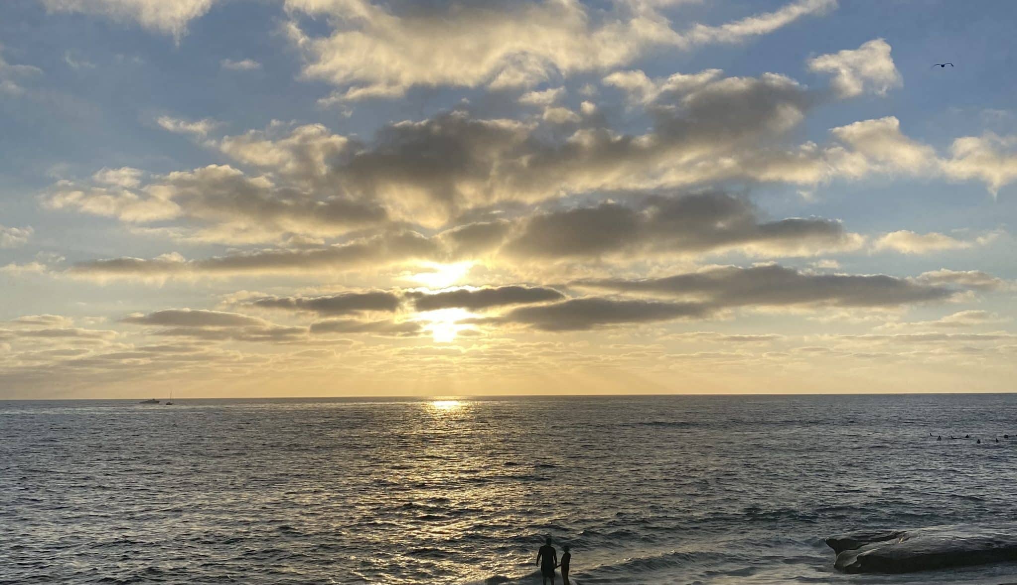 Marisol Estrada, LMFT, Online Therapy | Soultenders